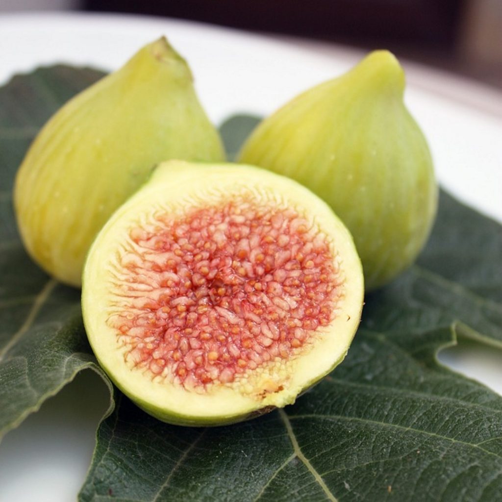 GreekFigs – greekfigs.gr